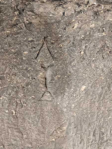 Mason Marks – from Egypt to Europe – Philippa Lee